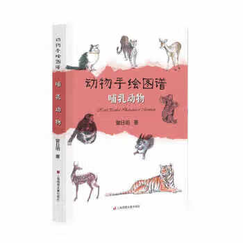 动物手绘图谱 哺乳动物