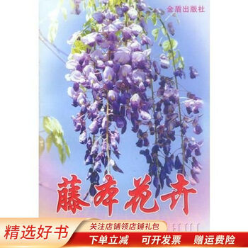藤本花卉 王玉华