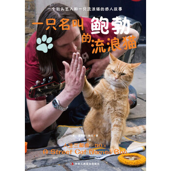 一只名叫鲍勃的流浪猫升级版