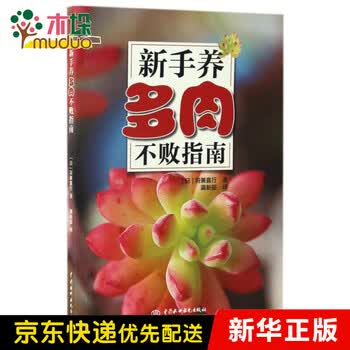 新手养多肉不败指南