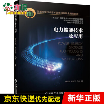 电力储能技术及应用/储能科学与技术丛书