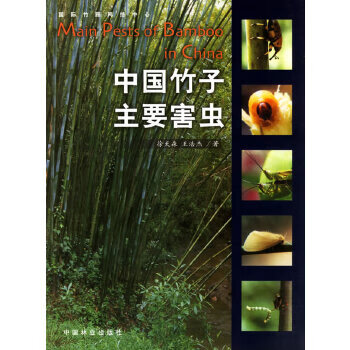 中国竹子主要害虫