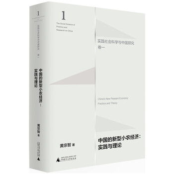 大学问·中国的新型小农经济：实践与理论（实践社会科学与中国研究·卷一）