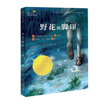 国际大奖小说·成长版——野花的脚印