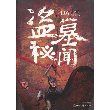 盗墓秘闻 王宇 文化发展出版社