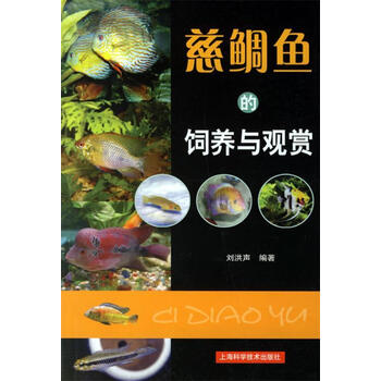 慈鲷鱼的饲养与观赏【正版图书，放心下单】