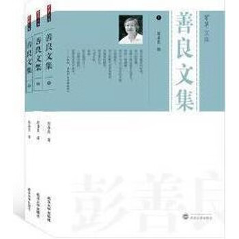 善良文集  全3册 彭善良著 武汉大学出版社