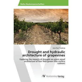 Drought and Hydraulic Architecture of Grapevine