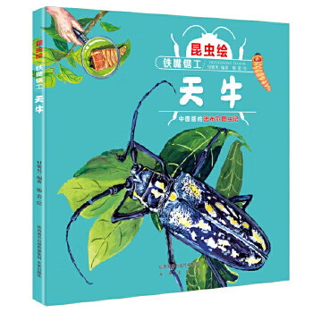 昆虫绘 天牛