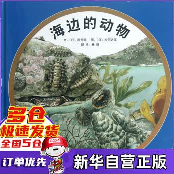 海边的动物(精)