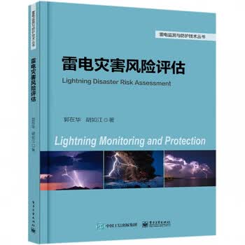 雷电灾害风险评估/雷电监测与防护技术丛书