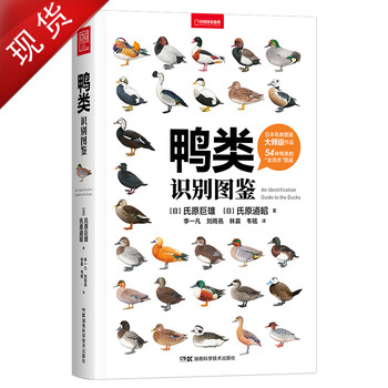 鸭类识别图鉴 54种鸭类的“全羽衣”图鉴 【日】氏原巨雄 【日】氏原道昭 著