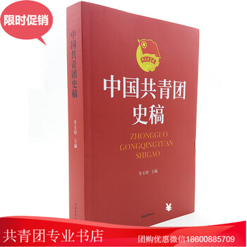 共青团书籍团干部团章团建十八大新修订 中国共青团史稿  李玉琦主编团委团支部团员团徽少先队