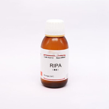 【京炼R0010-20ml】京炼 solab 蛋白提取 高效RIPA裂解液(组织/细胞 RIPA buffer(high） PMSF-20 ...