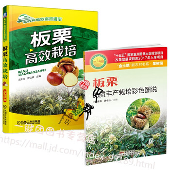板栗高效栽培+板栗优质丰产栽培彩色图说 板栗种植书籍 板栗绿色高效生产关键技术大全 病虫害防治 毛栗