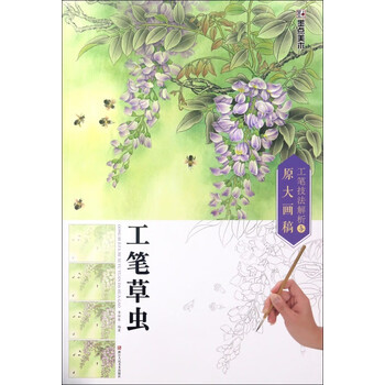 工笔草虫/工笔技法解析与原大画稿
