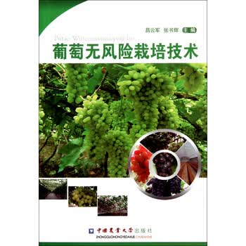 葡萄无风险栽培技术