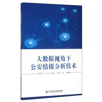 大数据视角下公安情报分析技术 【正版图书，放心购买】