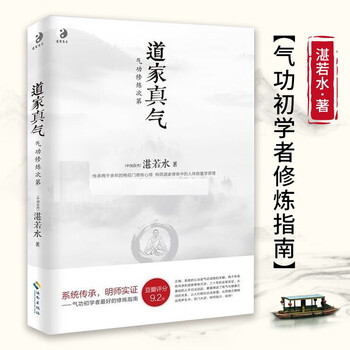 道家真气次第湛若水著传承两千余年的梅花门修炼心得气功初学者修炼入门指南书养生术