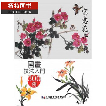 预售 画技法入门300例写意花卉 北星台版原版书籍