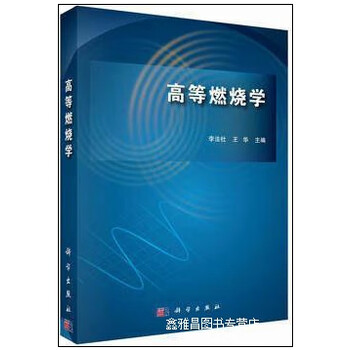 高等燃烧学 李法社，王华编 科学出版社 9787030505538