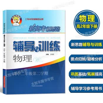 新高考新思路辅导与训练 物理 高二年级第二学期/高2年级下 学习类参考书 上海科学技术出版社 上海版