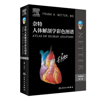 奈特人体解剖学彩色图谱（第7版/翻译版）