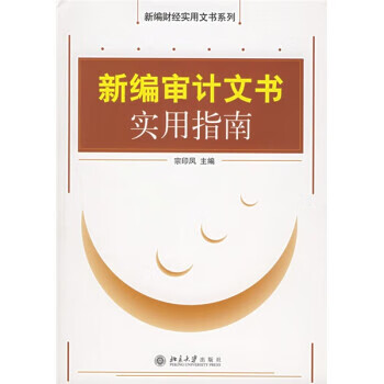新编审计文书实用指南 宗印凤 编【正版书】