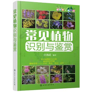 常见植物识别与鉴赏9787122326577