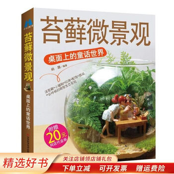 苔藓微景观：桌面上的童话世界 屿路