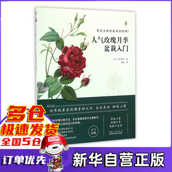 人气玫瑰月季盆栽入门