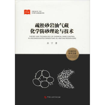 疏松砂岩油气藏化学防砂理论与技术