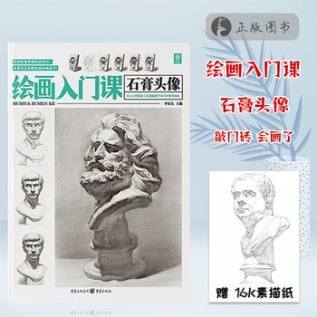 绘画入门课系列 2022敲门砖会画了李家友由简到繁立足基础紧跟教学步骤快速掌握绘画诀窍 绘画入门课-石膏头像