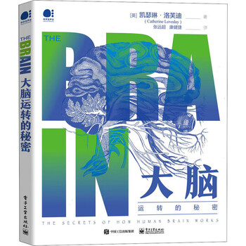 大脑运转的秘密
