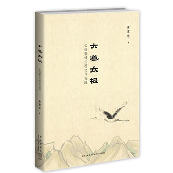大道太极 黄震寰 著【正版书】