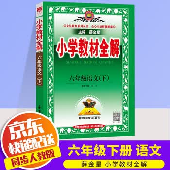 2022新版薛金星小学教材全解六年级下册语文配套部编人教版小学生6年级下同步课本书教材完全解读辅导书