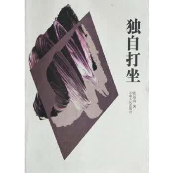 独自打坐 张远山著 云南人民出版社