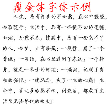 人民日报金句字帖摘抄作文素材公务员范文楷书行楷正楷学生练字帖 瘦金字体