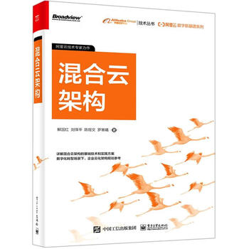 阿里云数字新基建系列：混合云架构 解国红等 著 (博文视点出品) 图书