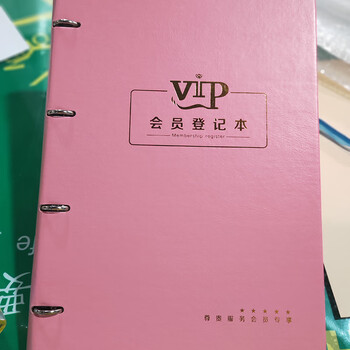车辆档案记录本汽车维修保养客户档案保险公司车辆保险登记本司机 粉色活页