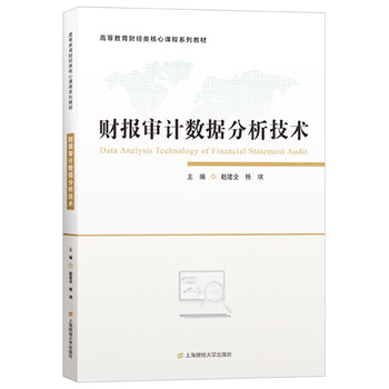 财报审计数据分析技术