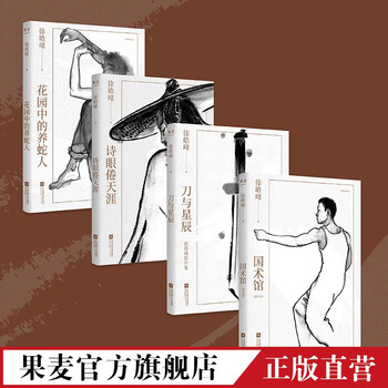 诗眼倦天涯+刀与星辰+国术馆+花园中的养蛇人（套装4册）徐皓峰新作  武侠小说 果麦文化出品