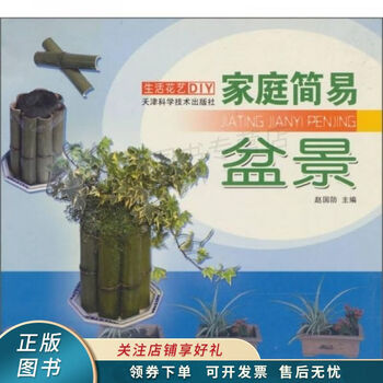 生活花艺DIY：家庭简易盆景