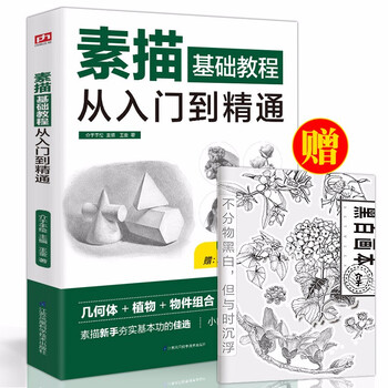 赠视频素描零基础教程从入门到精通初级教程材书籍者铅笔手绘画画册本从单个体石膏几何体成人美术的诀窍临摹