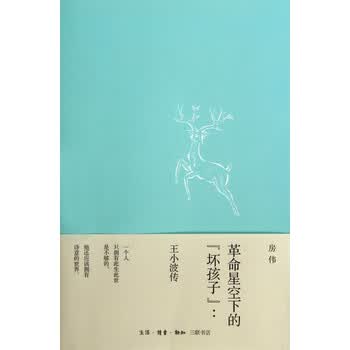 革命星空下的坏孩子--王小波传