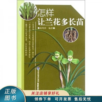 怎样让兰花多长苗