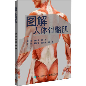 图解人体骨骼肌
