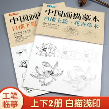 美学大师 中国画描摹本工笔画上下2册/基础训练篇+强化提高篇 花卉草木鸟兽鱼虫绘画临摹本入门零基础