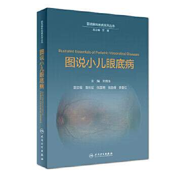 图说小儿眼底病（图说眼科疾病系列丛书）