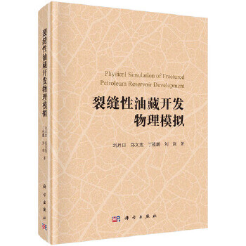 裂缝性油藏开发物理模拟